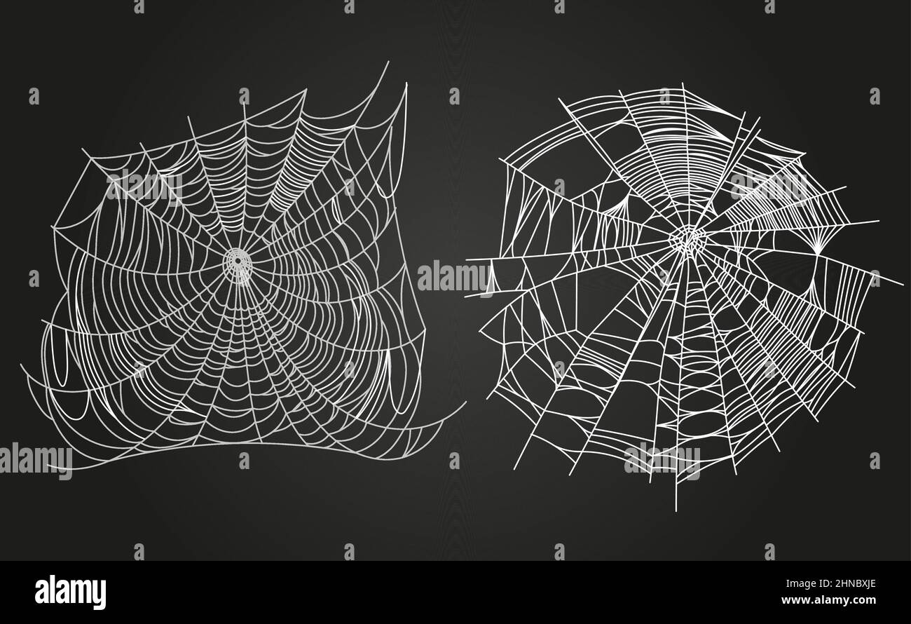 Spider web parts isolated on black background. Scary cobweb outline ...