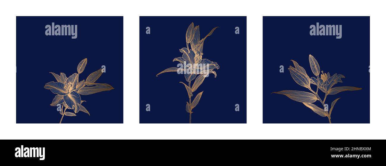 A set of frames of lily flowers linear drawings with bronze metallic ...