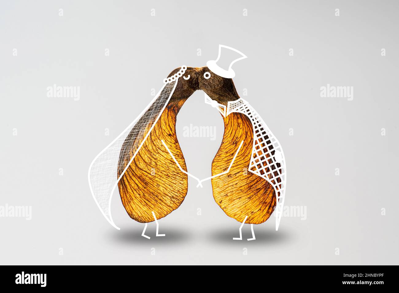 A couple kissing, represented by two maple seeds illustrated to make ...