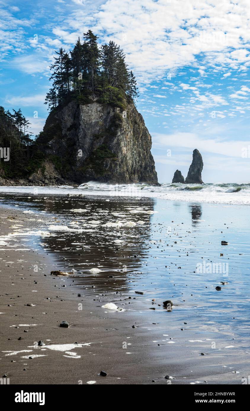 Olympic National Park Coastal Strip and Olympic National Marine ...