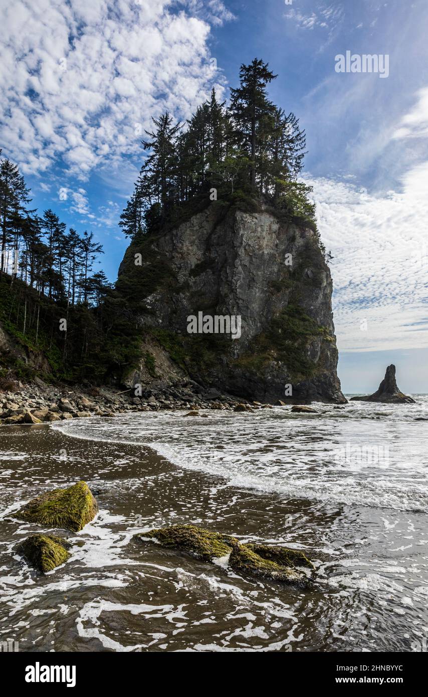 Olympic National Park Coastal Strip and Olympic National Marine ...