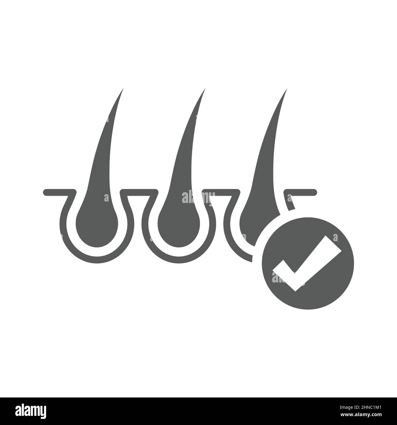 Healthy strong hair with checkmark icon. Black filled symbol Stock ...