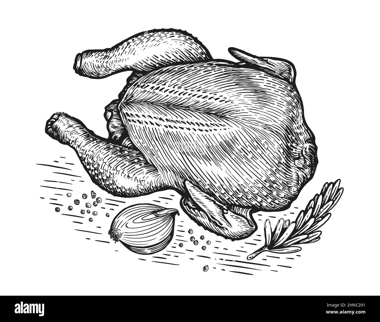 Chicken Meat Drawing