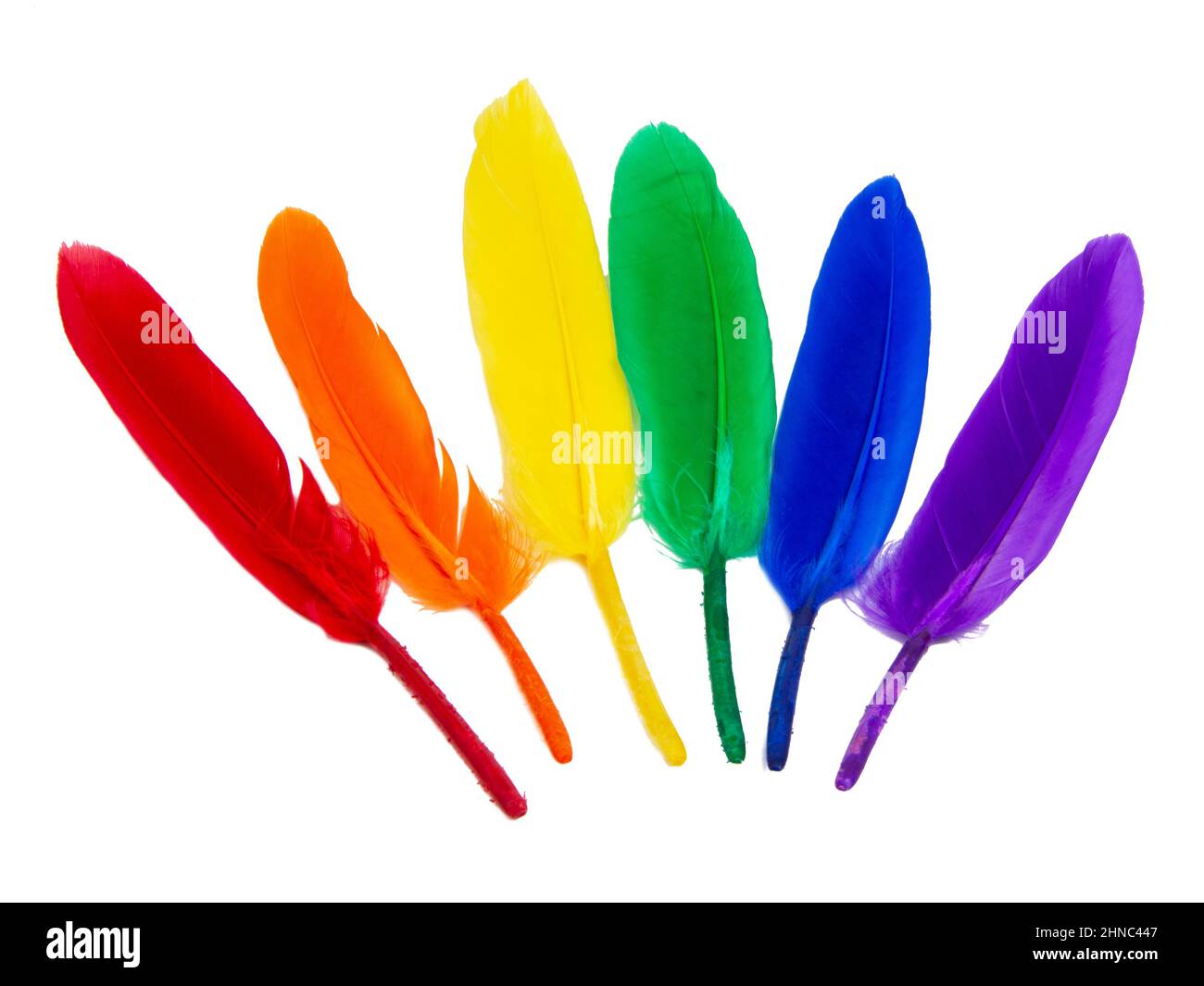 Orange and gold feathers Cut Out Stock Images & Pictures - Alamy