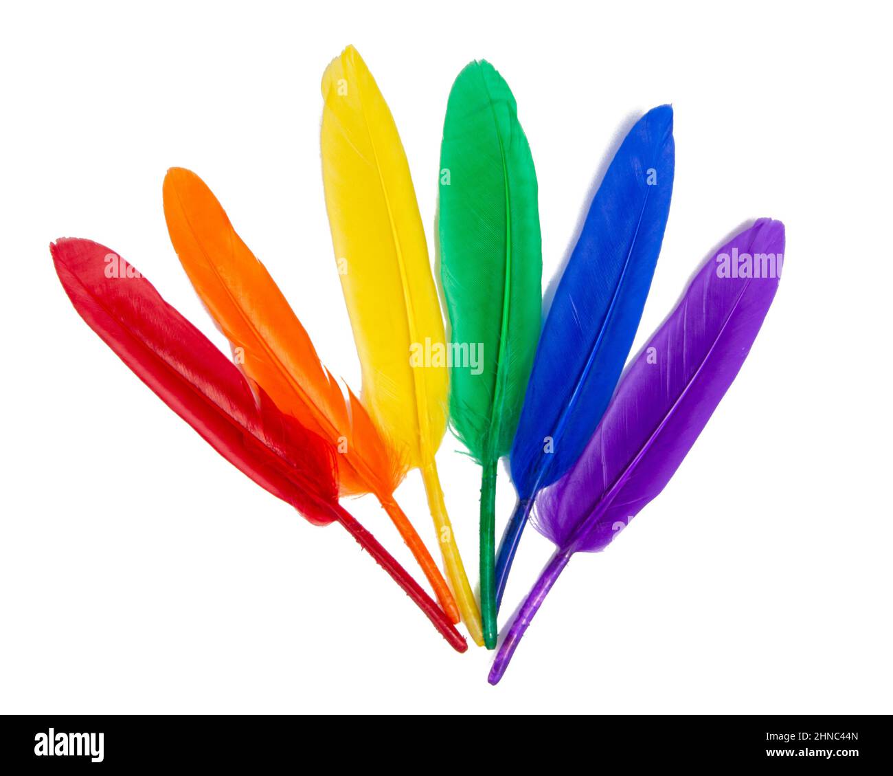 Rainbow festival Cut Out Stock Images & Pictures - Alamy
