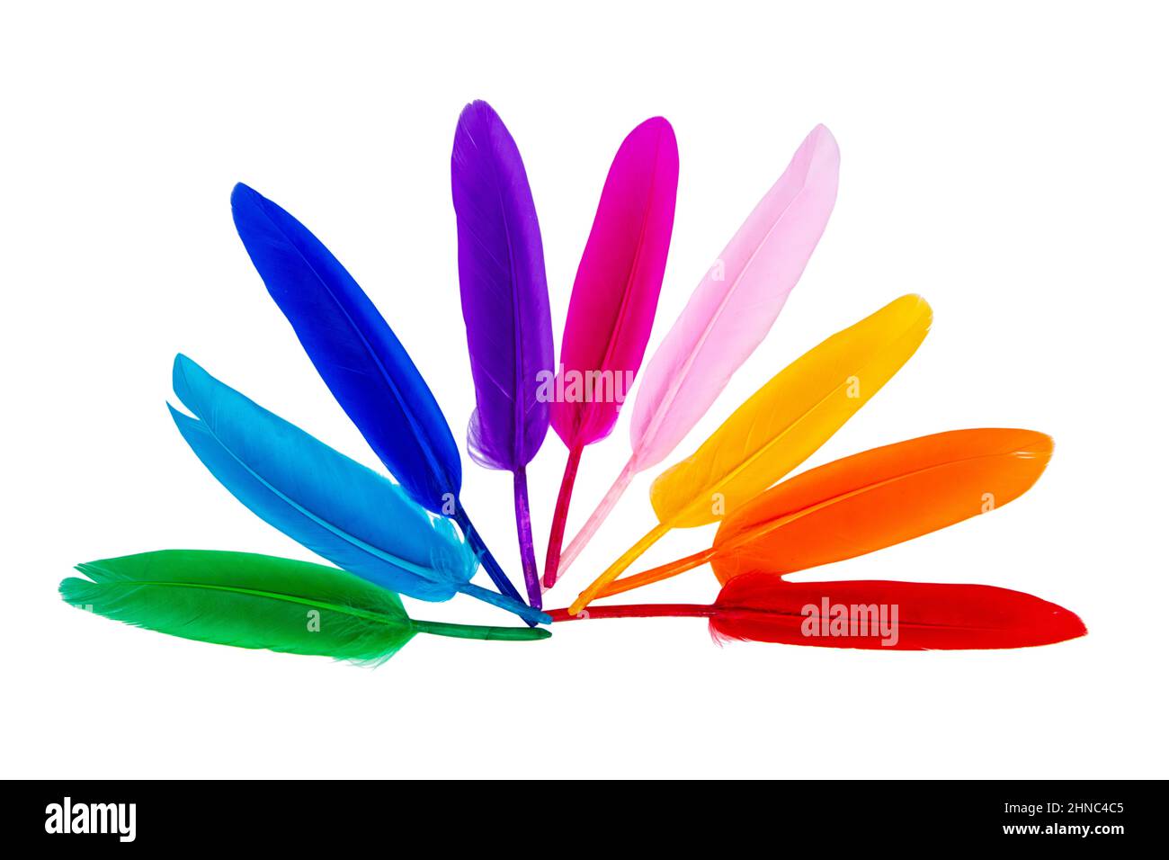 Multicolor feathers hi-res stock photography and images - Alamy