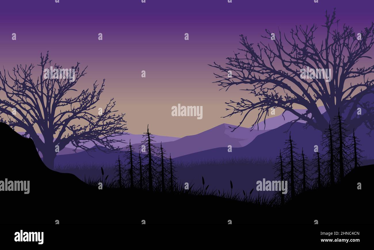 Views pine forest sunset Stock Vector Images - Alamy