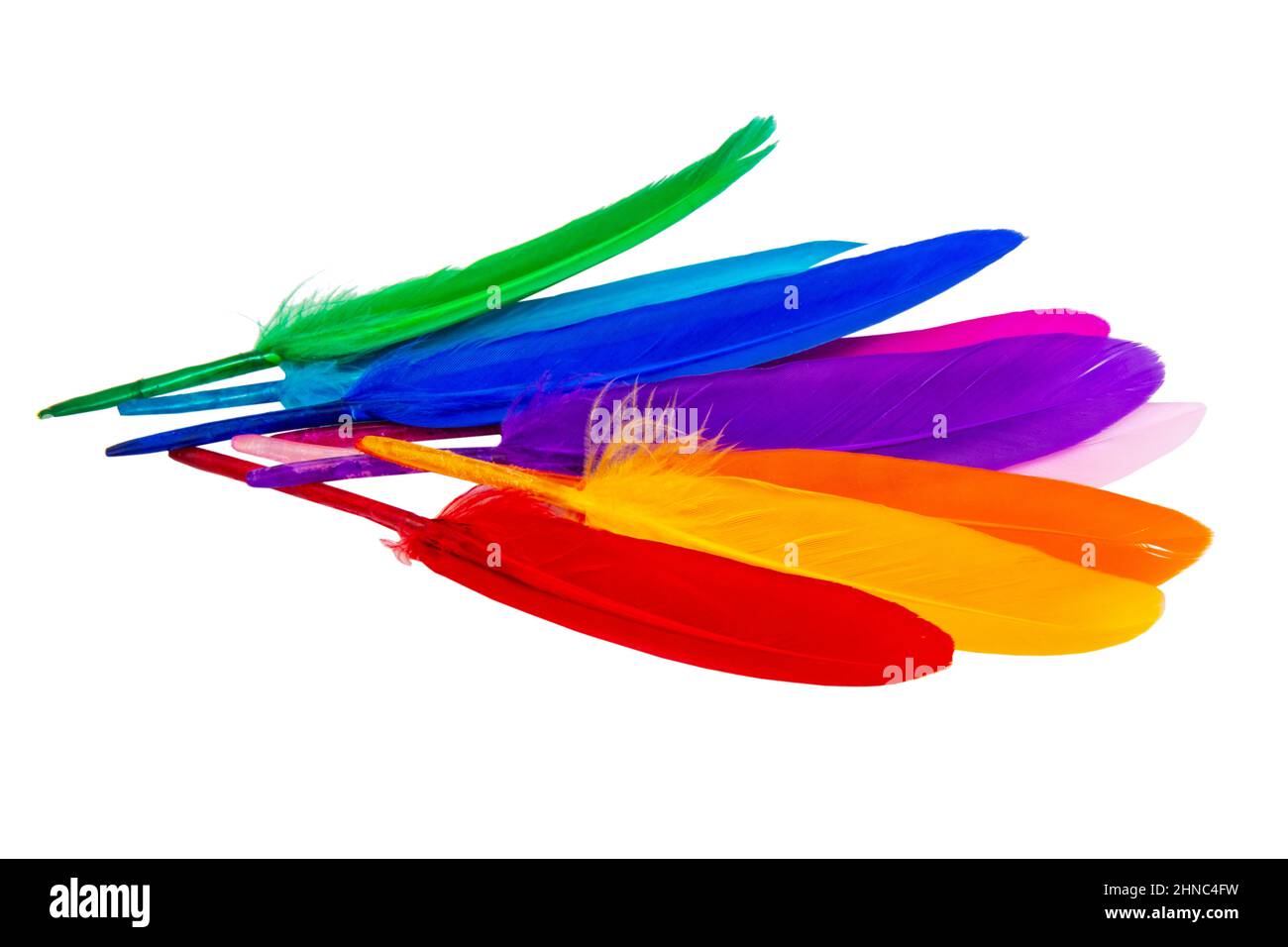Multicolor feathers hi-res stock photography and images - Alamy