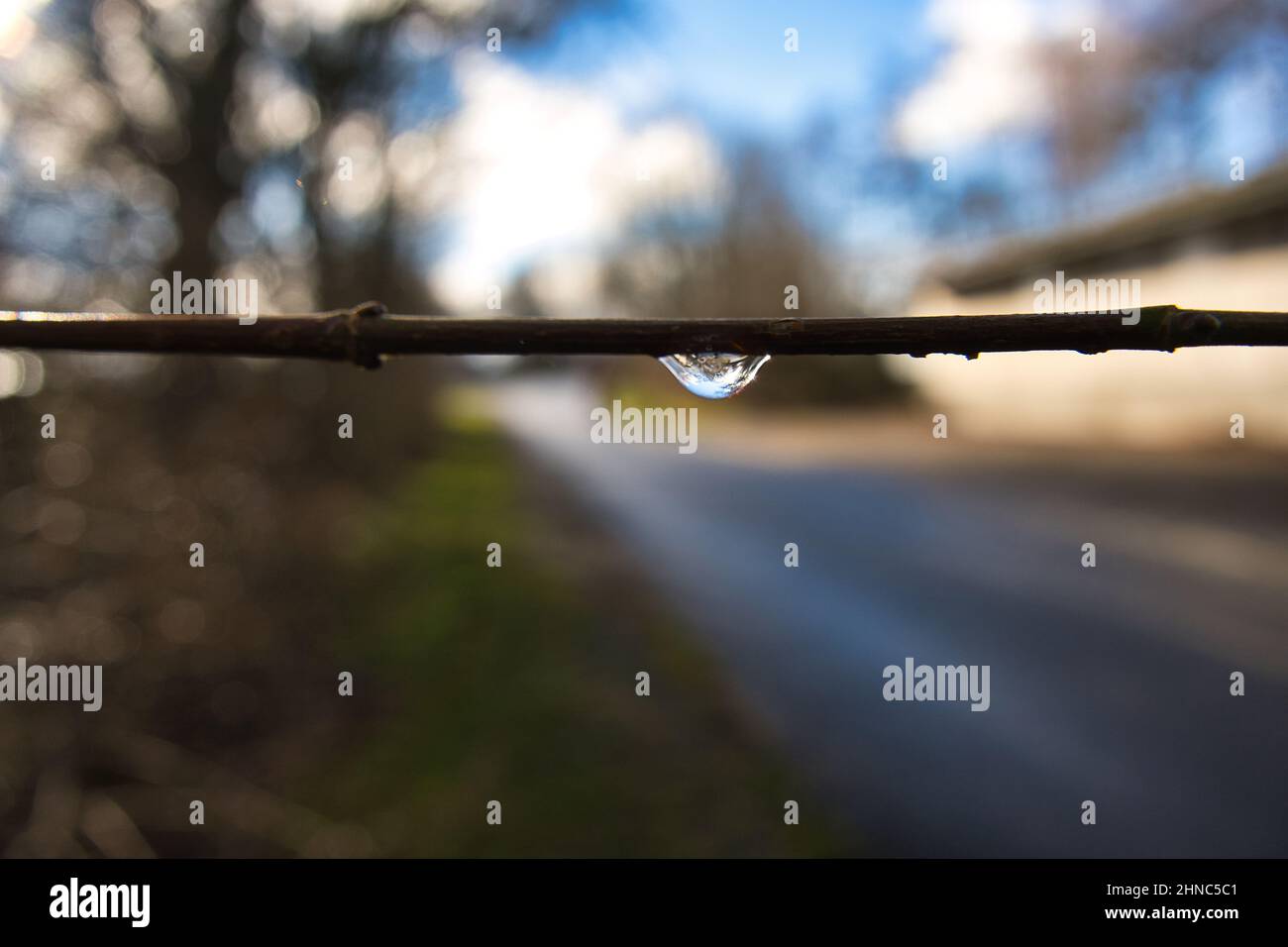 Closeup of a water drop on a horizontal stick with a blurred background ...