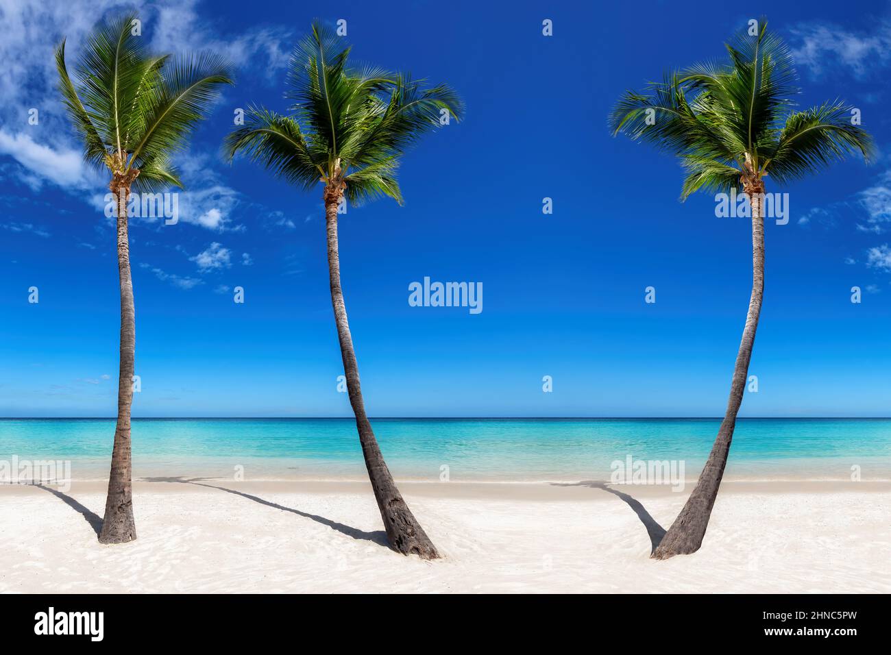 Three palm trees in sunny tropical beach in Paradise island Stock Photo - Alamy