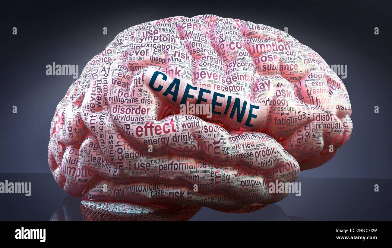 Caffeine And Brain Function