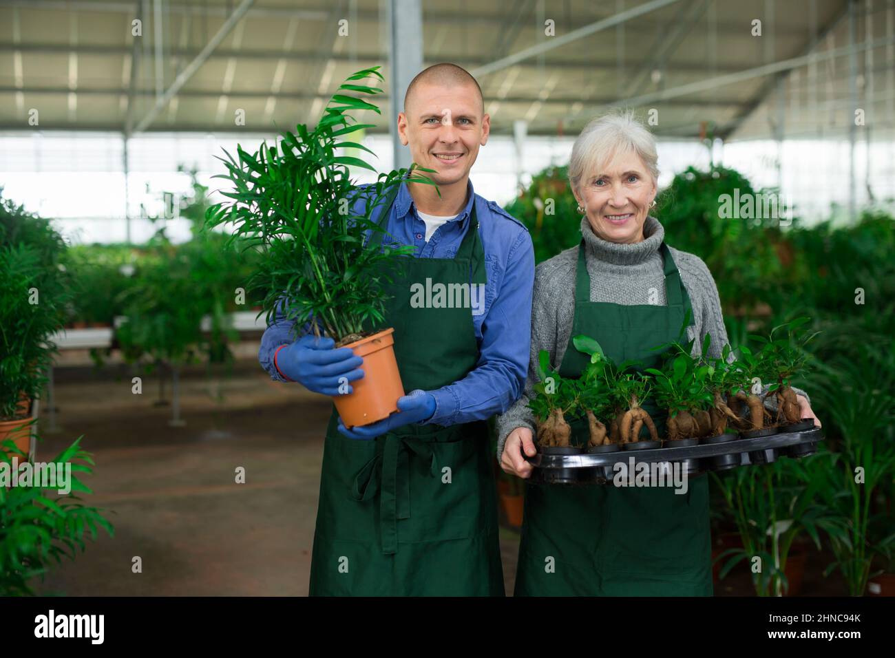 Smiling elderly female greenhouse owner with adult son holding potted ...