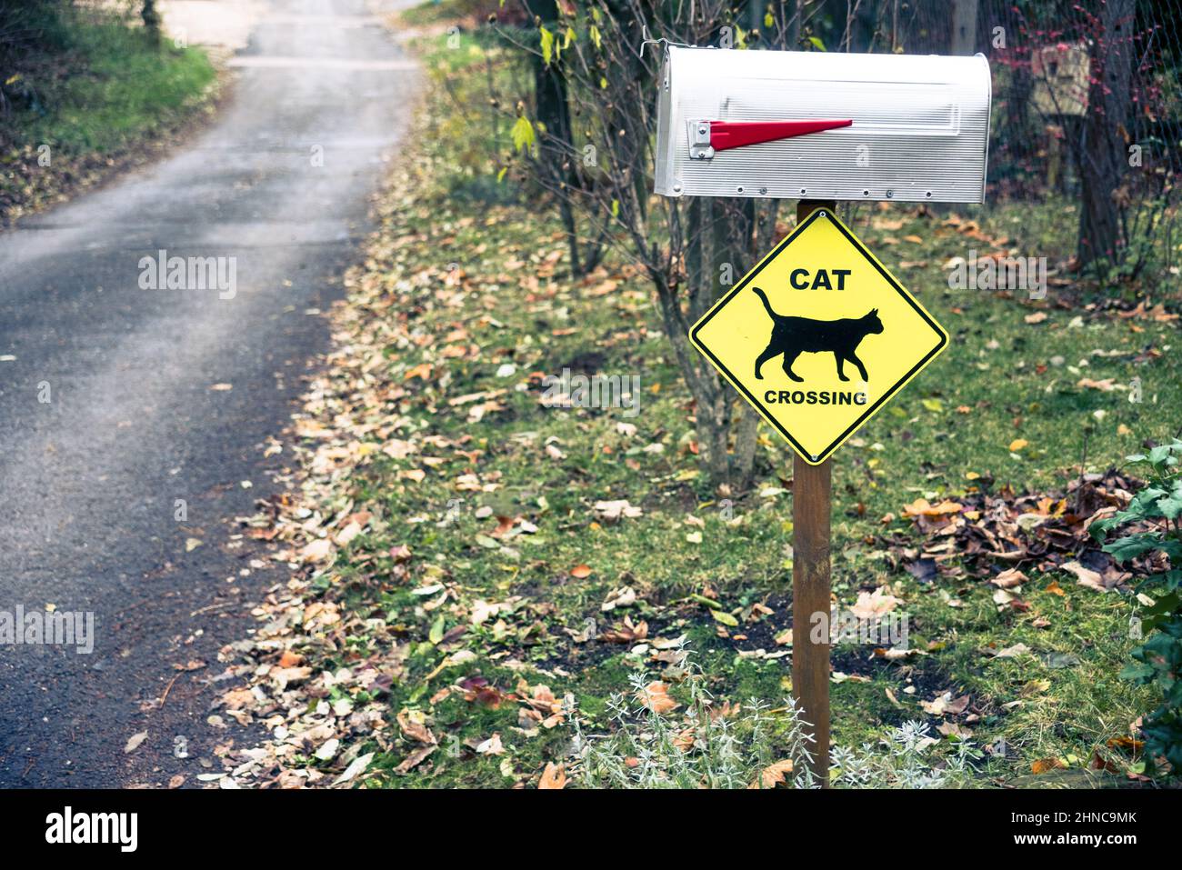 Roadside sign "cat crossing" in the country Stock Photo - Alamy