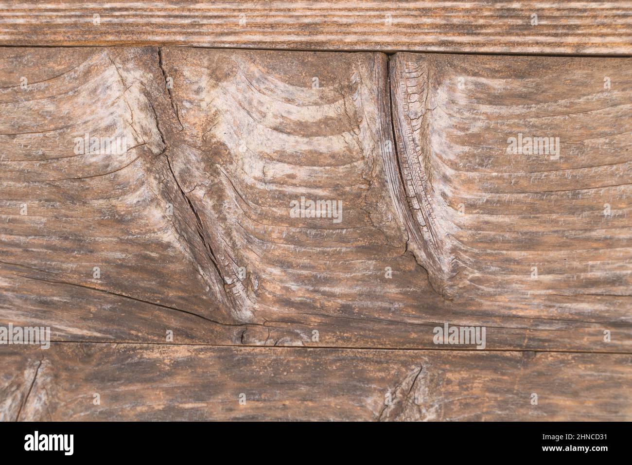 Close up shot of a wood texture Stock Photo - Alamy