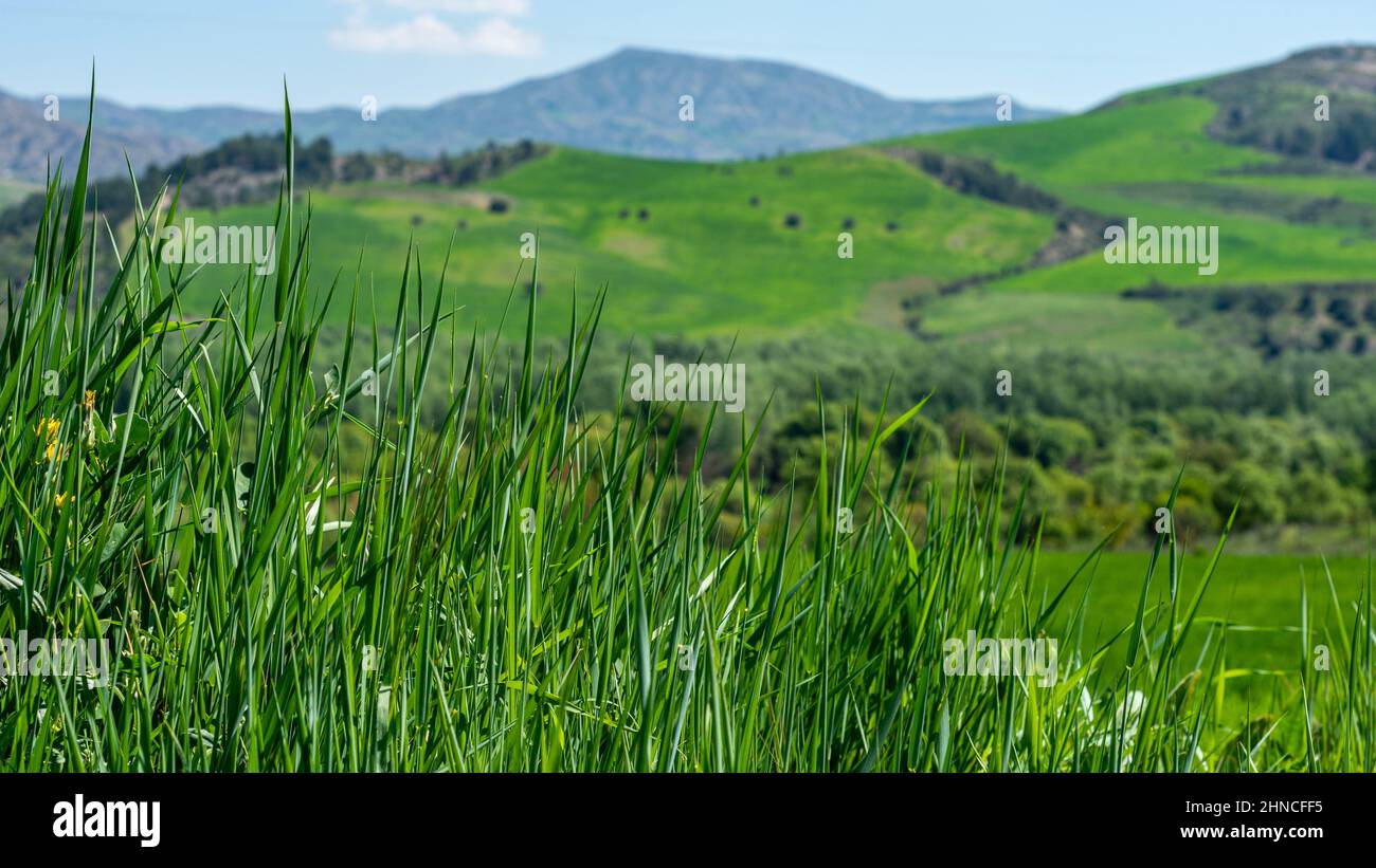 Green landscape with farming village hi-res stock photography and images - Alamy