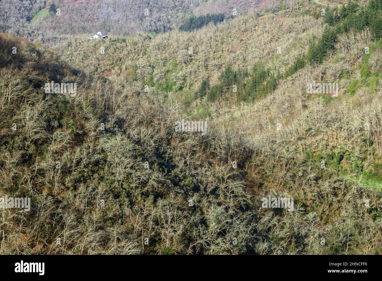 Small Chapel of Santa María de Castro next to the remains of a Celtic ...