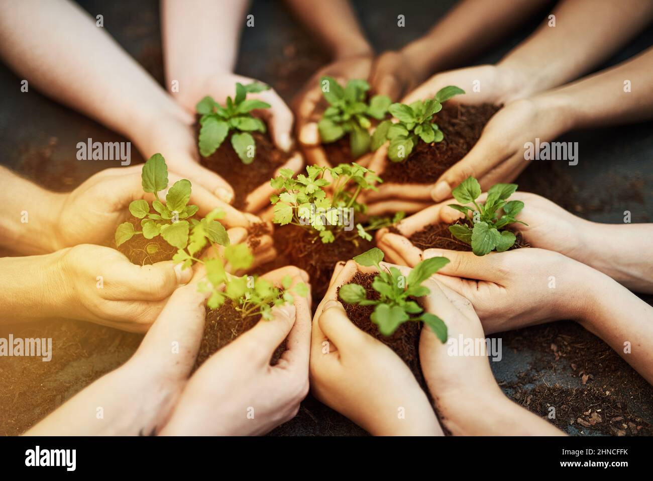 Go green, theres no planet B. Cropped shot of a group of people holding ...