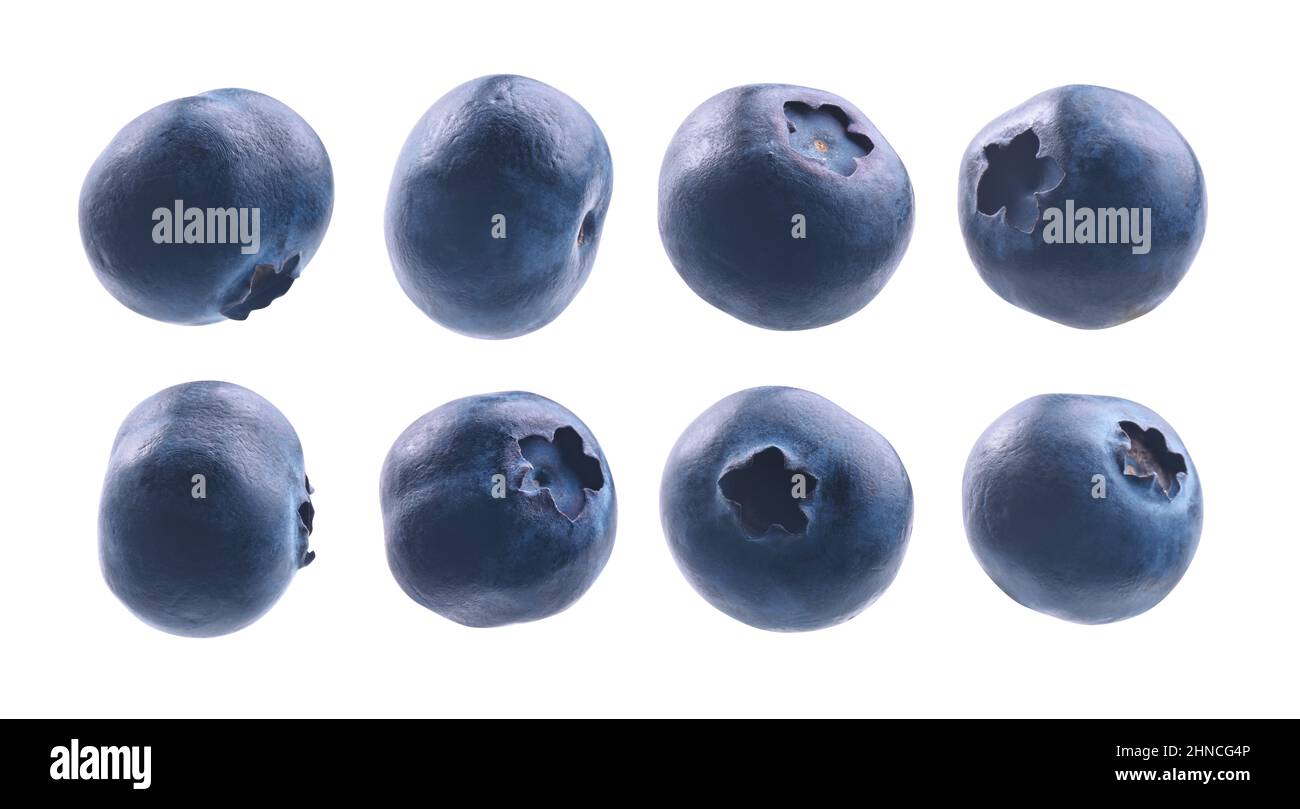 A set of blueberries in different angles on a white background Stock ...