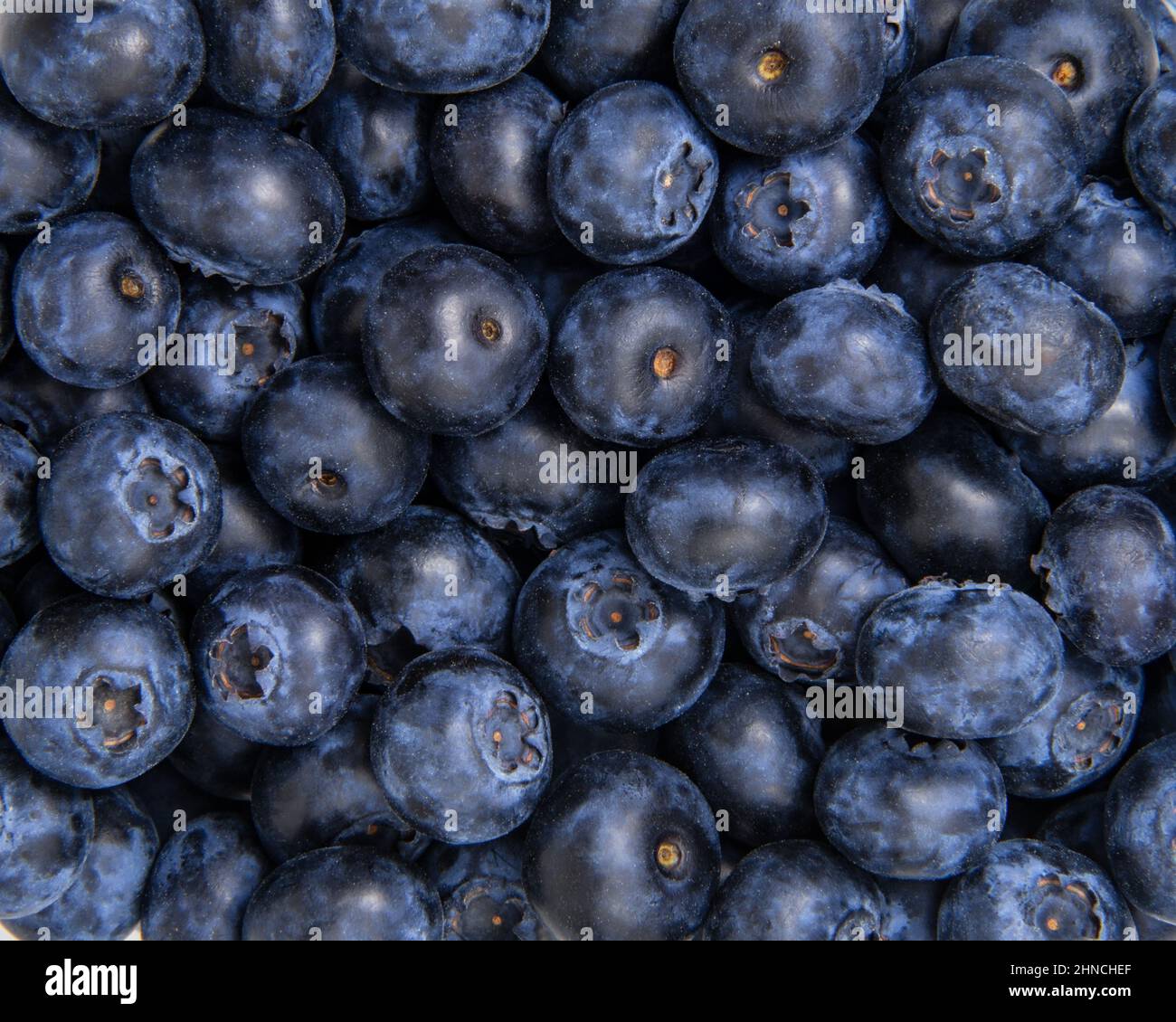 Fresh blueberry texture or background Stock Photo - Alamy