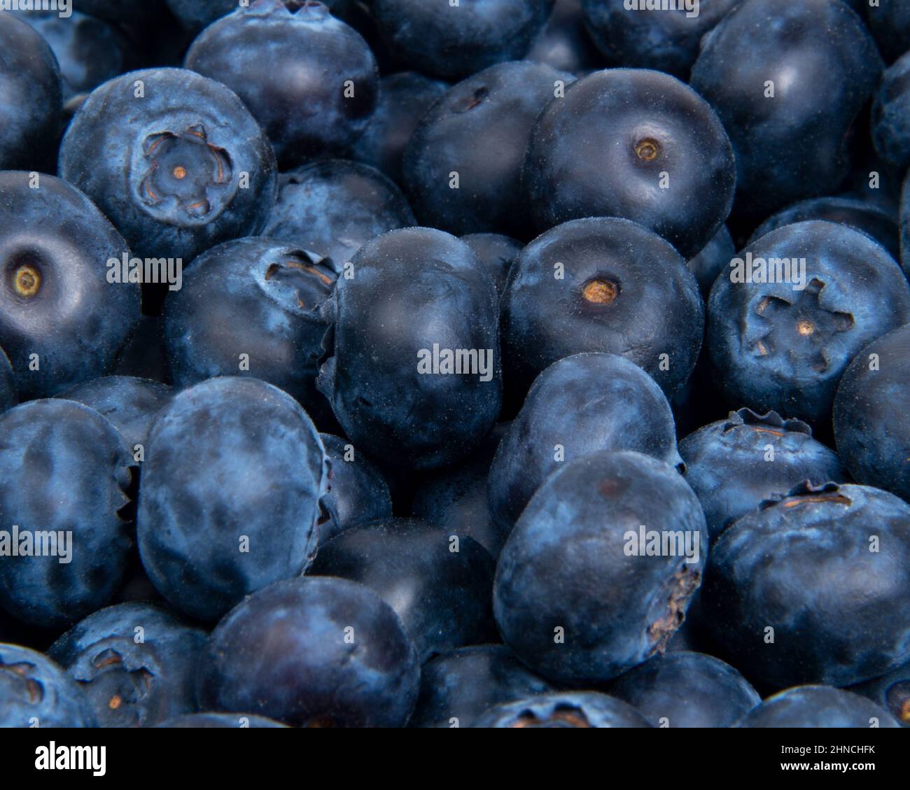 Fresh blueberry texture or background Stock Photo - Alamy