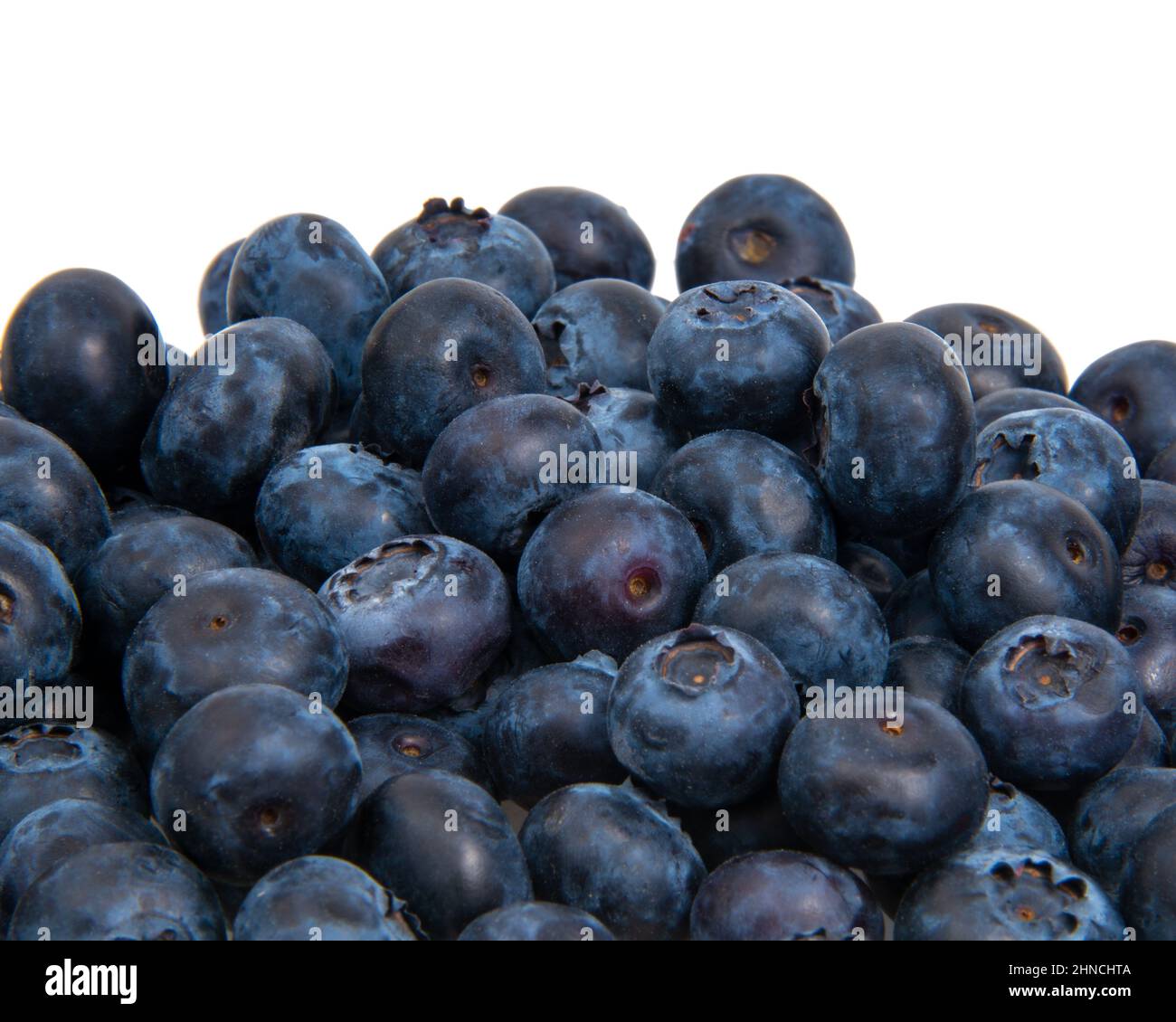 Perfect blueberry isolated on the white background Stock Photo - Alamy