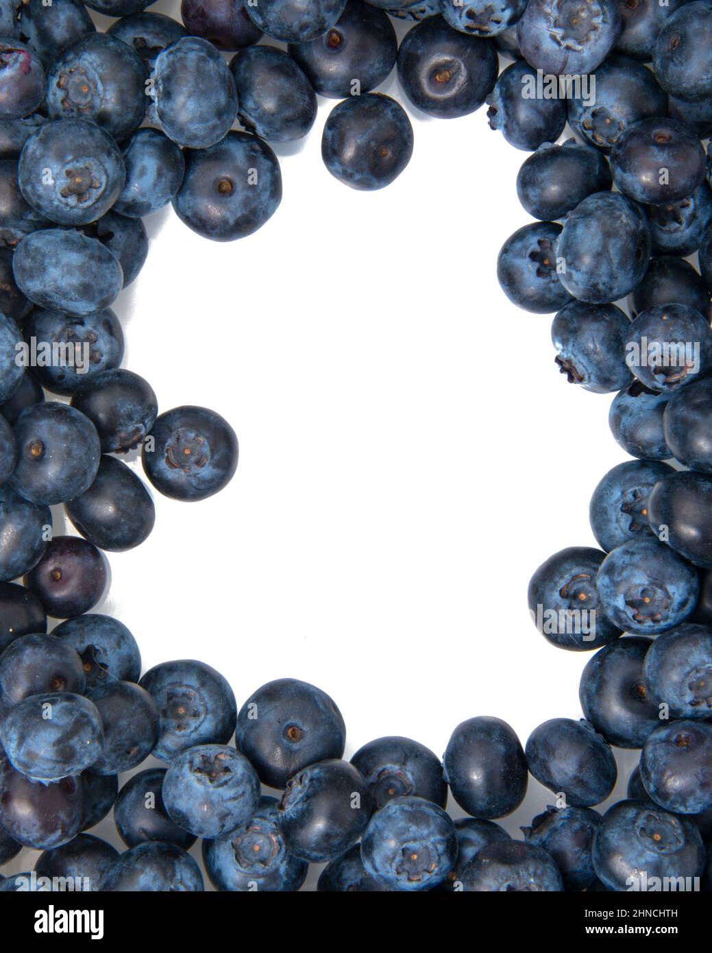 Perfect blueberry isolated on the white background Stock Photo - Alamy