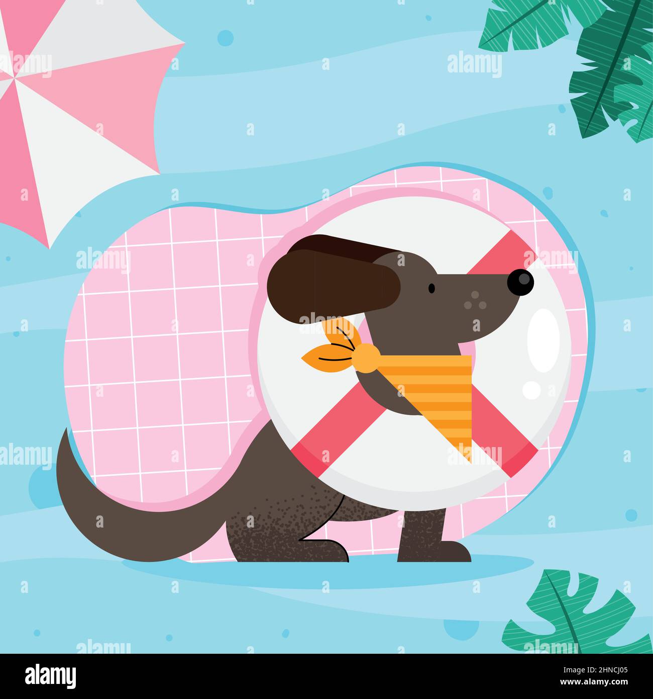 dog pet in pool character Stock Vector Image & Art - Alamy
