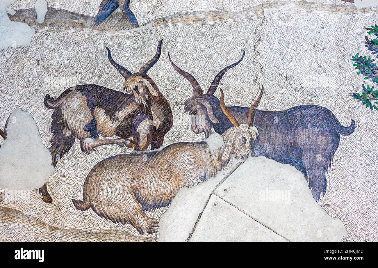 Ancient Goats Mosaic from the Byzantine period at the Great Palace of ...