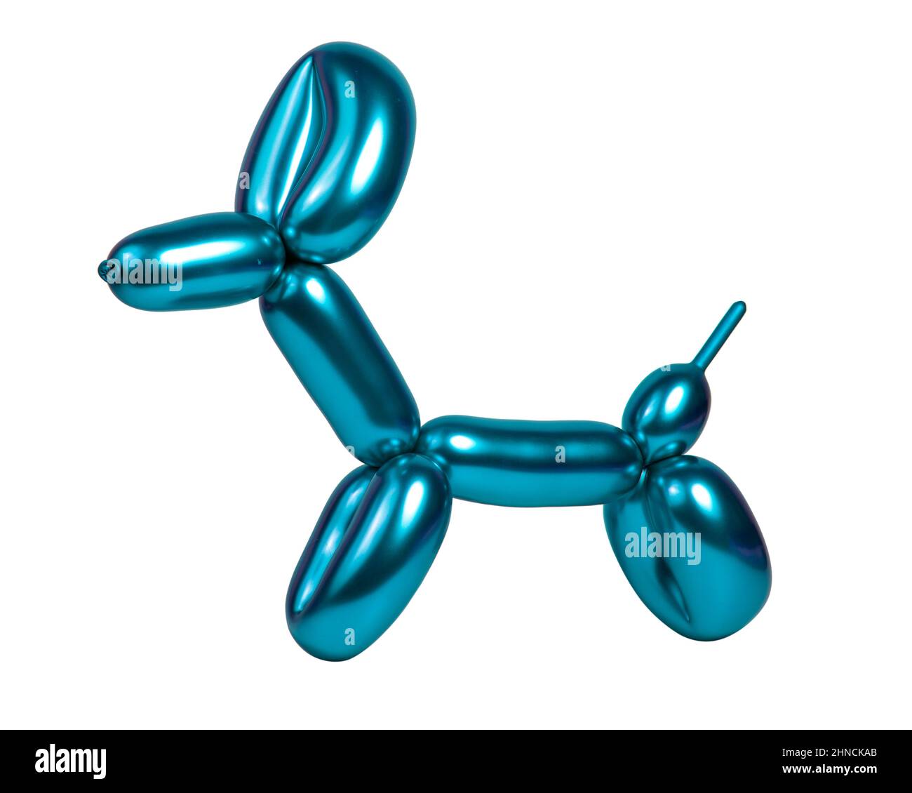 Bright blue balloon dog figure isolated on the white background Stock ...