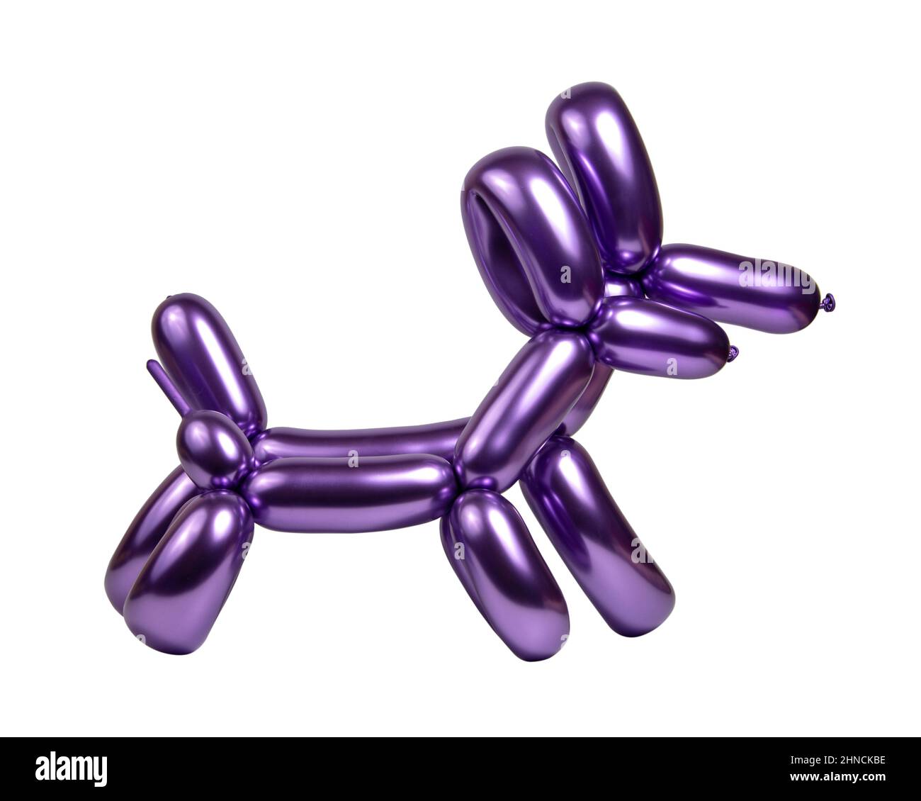 Bright purple balloon dog figure isolated on the white background Stock ...