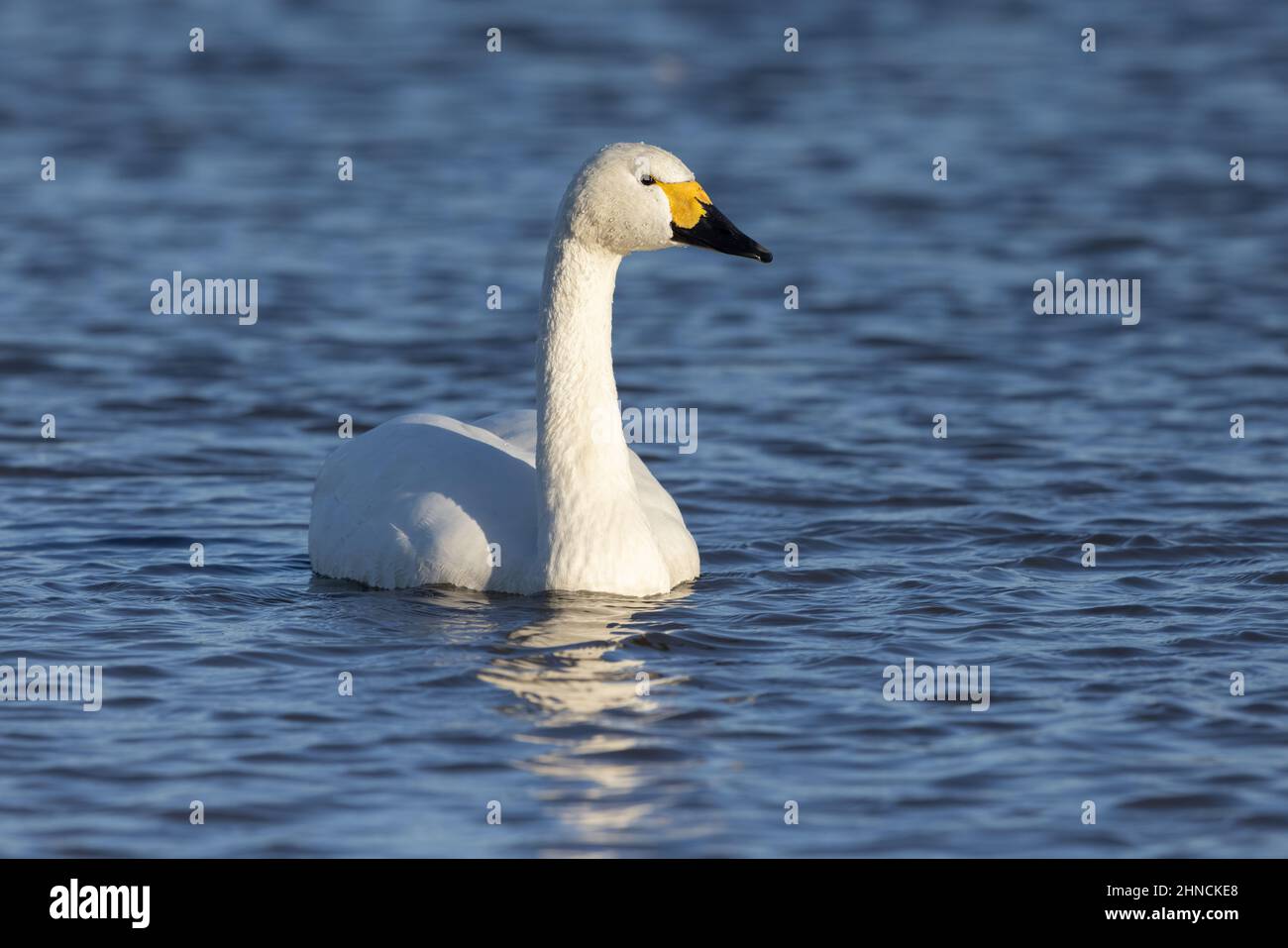 Water to right hi-res stock photography and images - Alamy