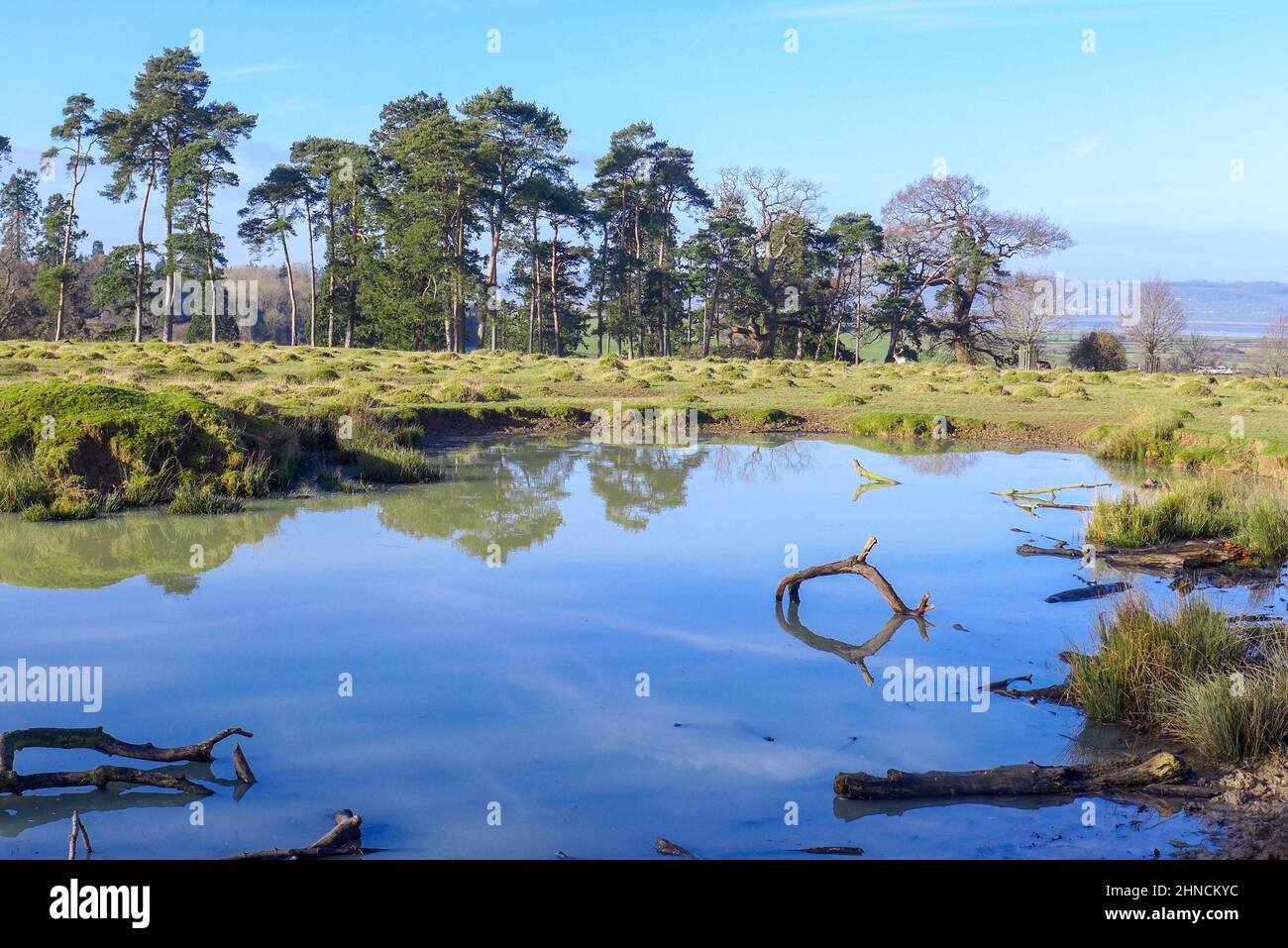 The England countryside with wetlands. pond with reflection of the ...