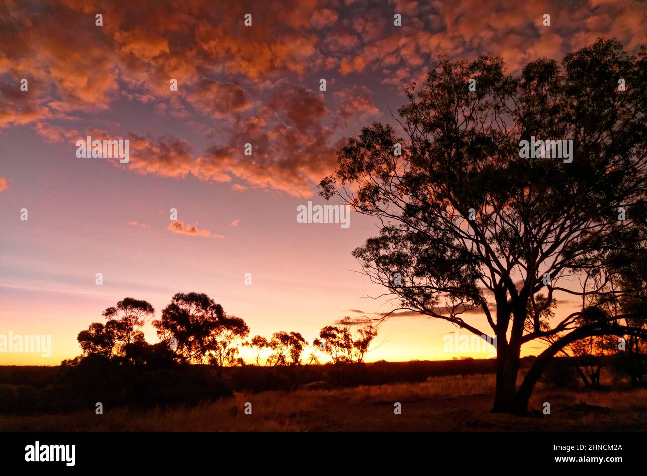 Australian Outback Sunset