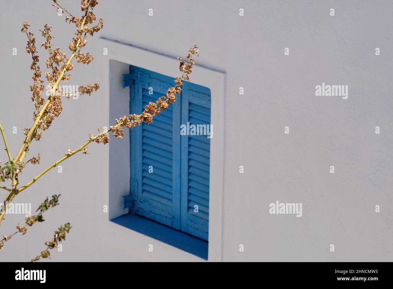 View of a white house with blue shutters in Santorini Greece Stock ...