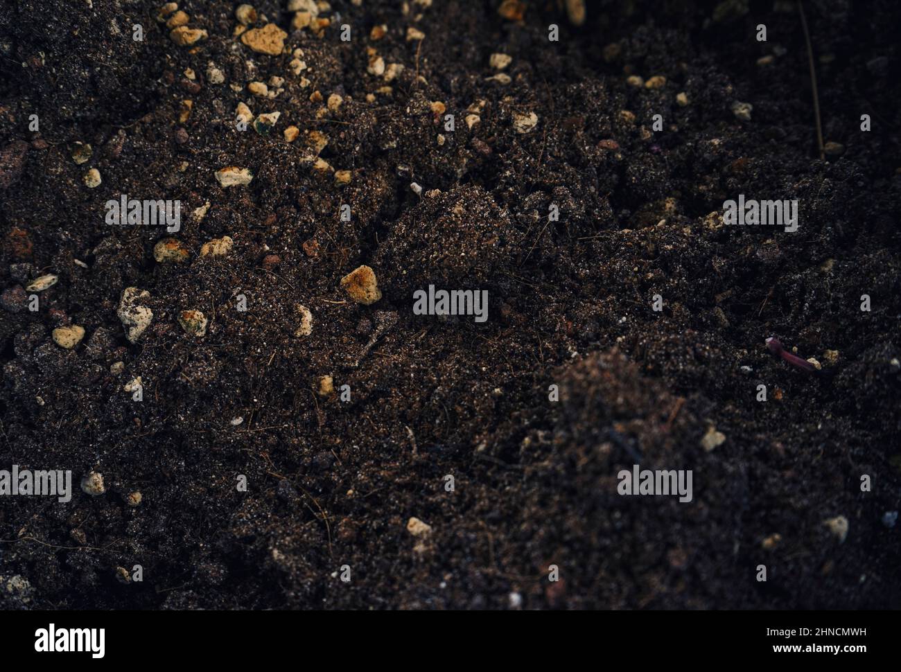 Organic textured background of dark substrate Stock Photo - Alamy