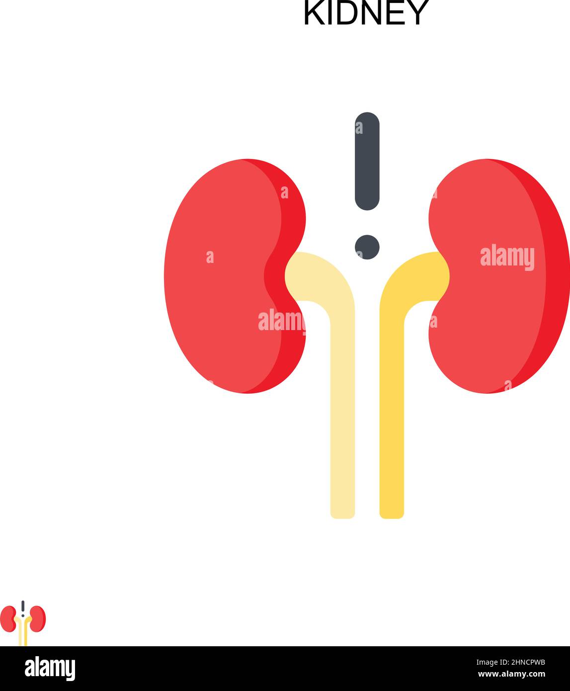 Kidney Simple vector icon. Illustration symbol design template for web ...