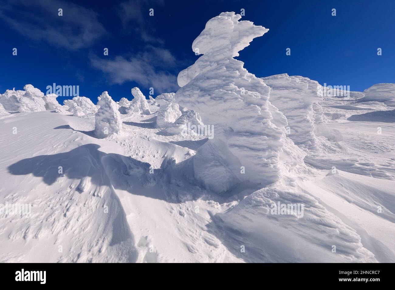 Rimed Trees And Blue Sky In Zao, Yamagata Stock Photo - Alamy