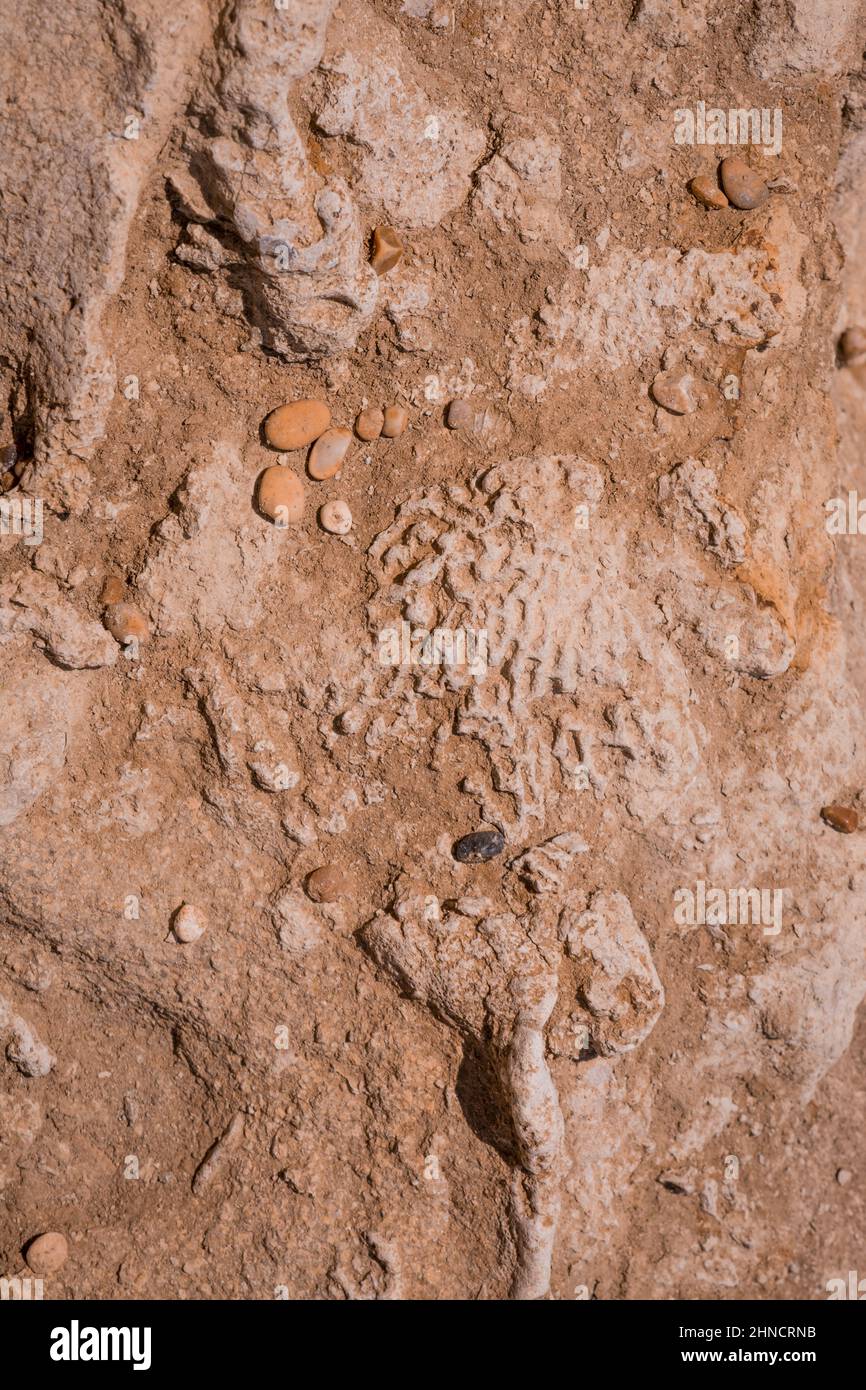texture of Cliffs at Hive Beach, Burton Bradstock, Bridport, Dorset ...