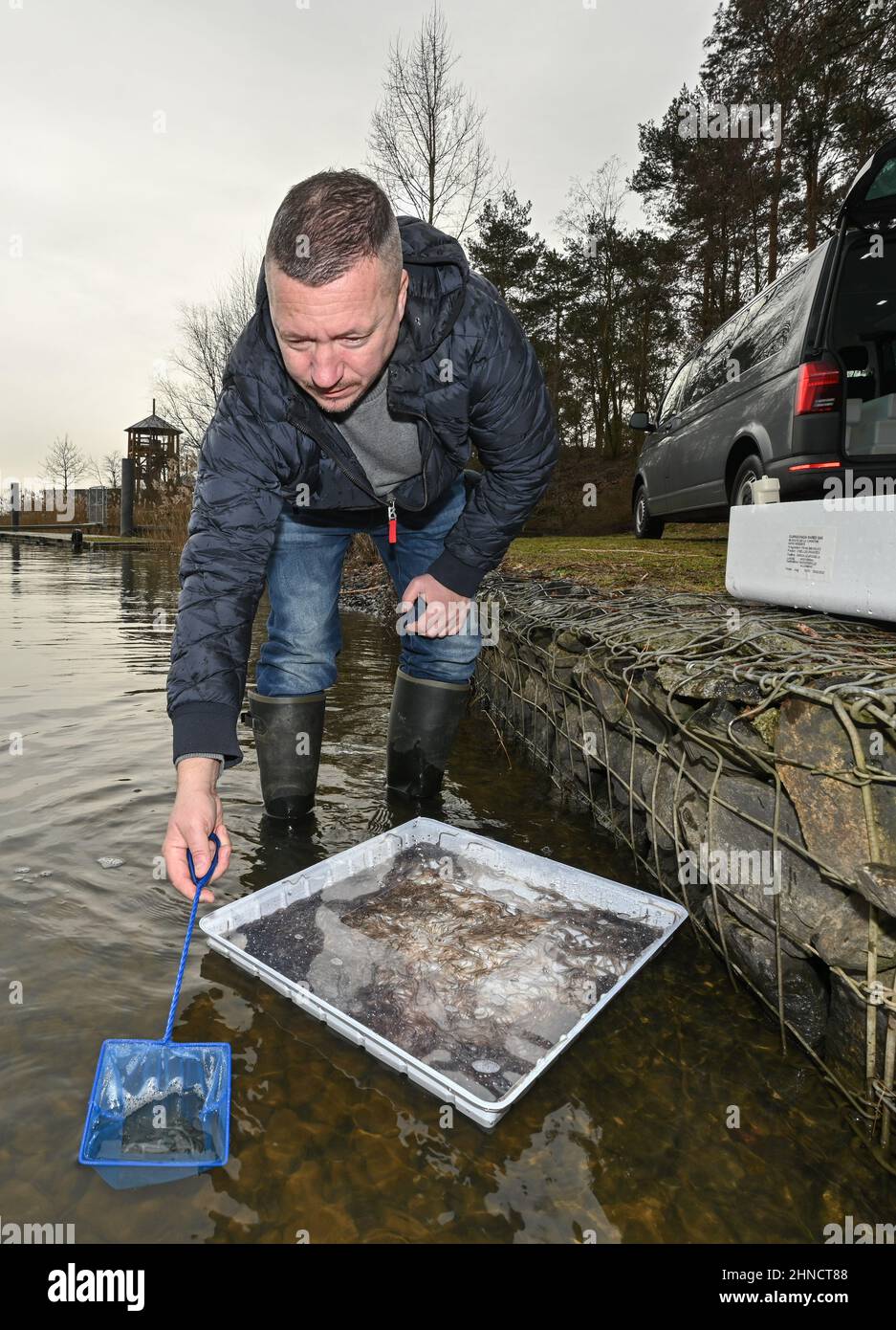 European eels dam hi-res stock photography and images - Alamy