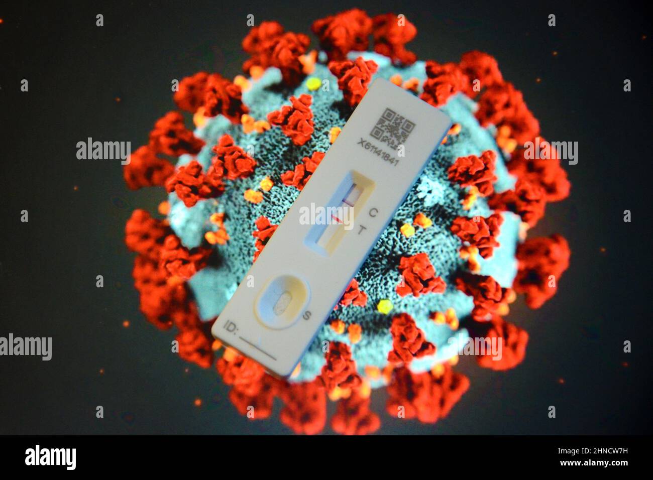 Immunochromatographic test hi-res stock photography and images - Alamy