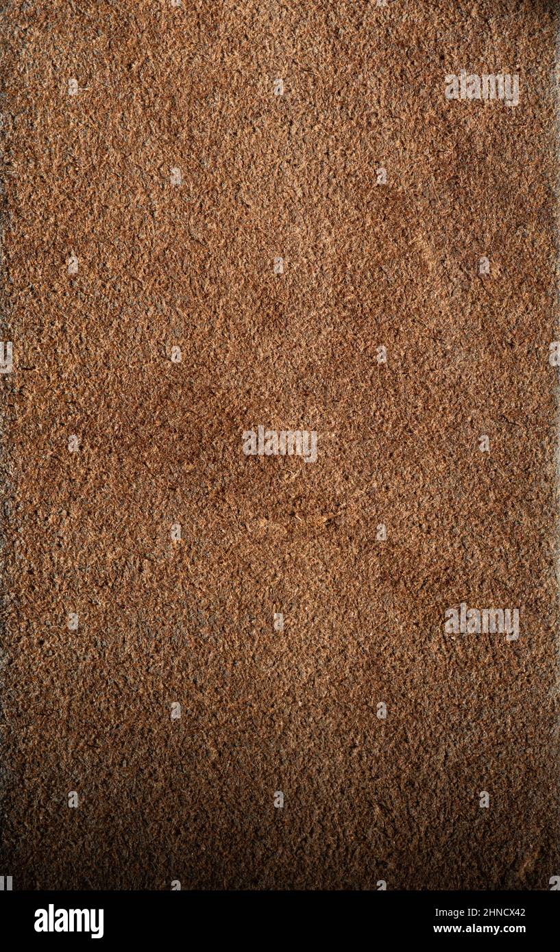 Old skin of cow inner side Stock Photo - Alamy