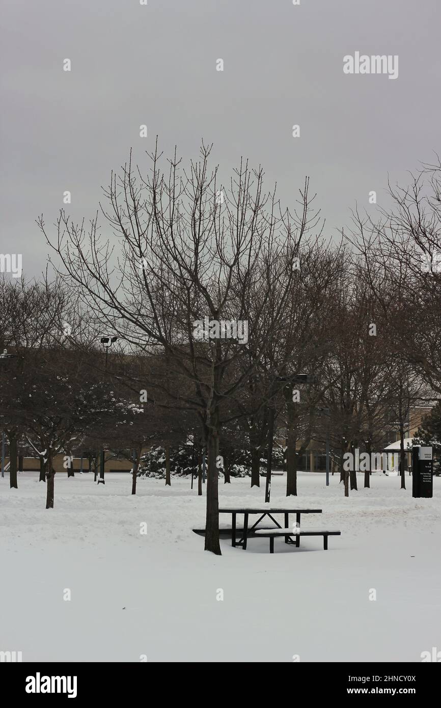 A typical picnic table covered with a full layer of snow from a ...