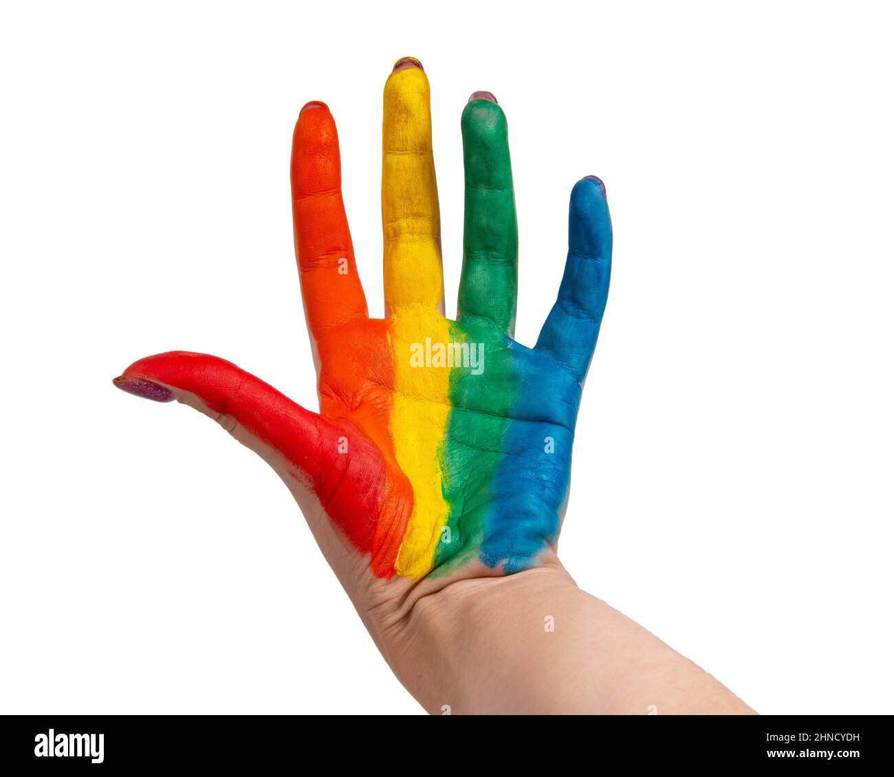 Rainbow lgbt paint color hand isolated on the white background Stock ...