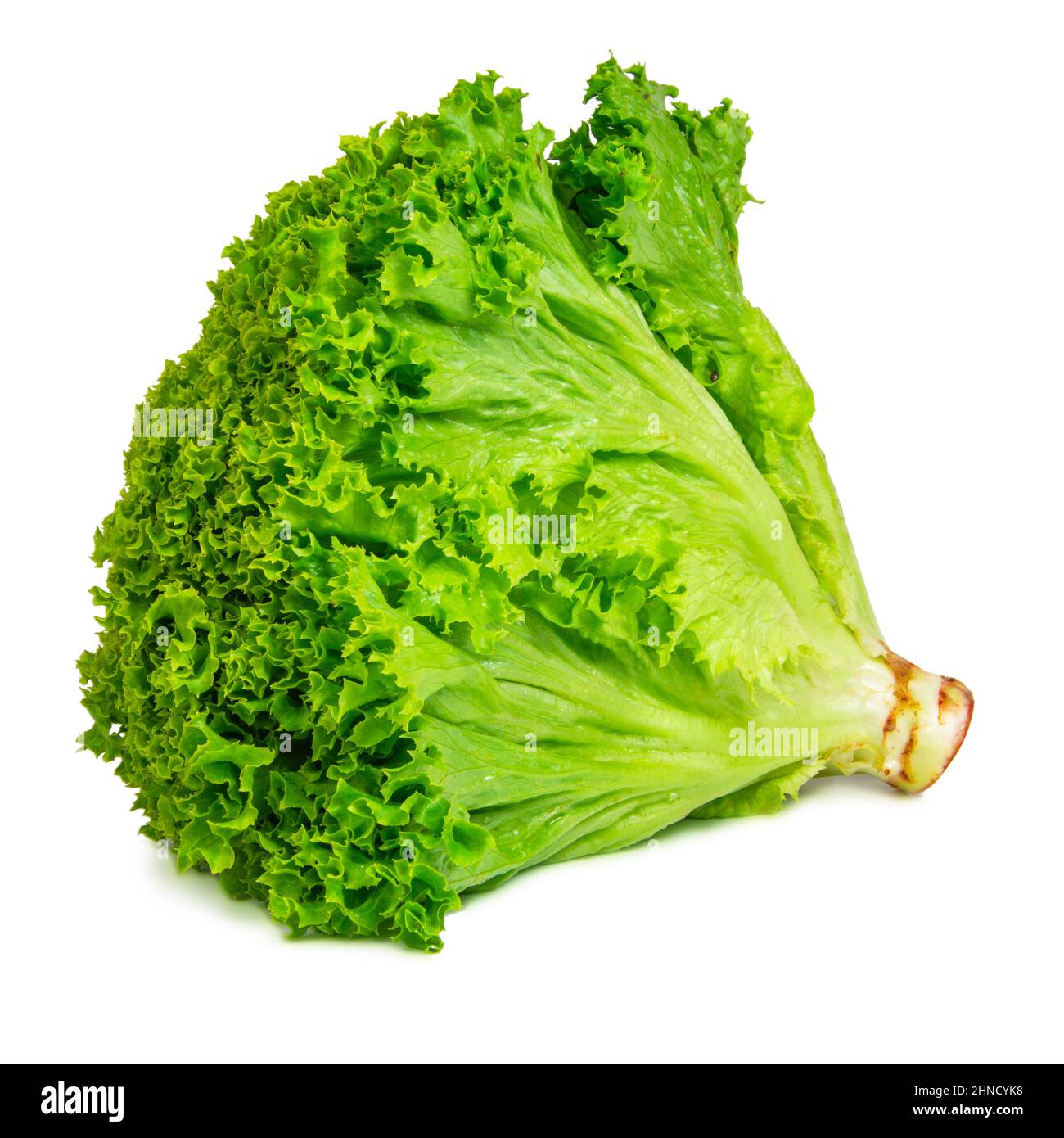 Green fresh bunch of lettuce isolated on the white background Stock ...