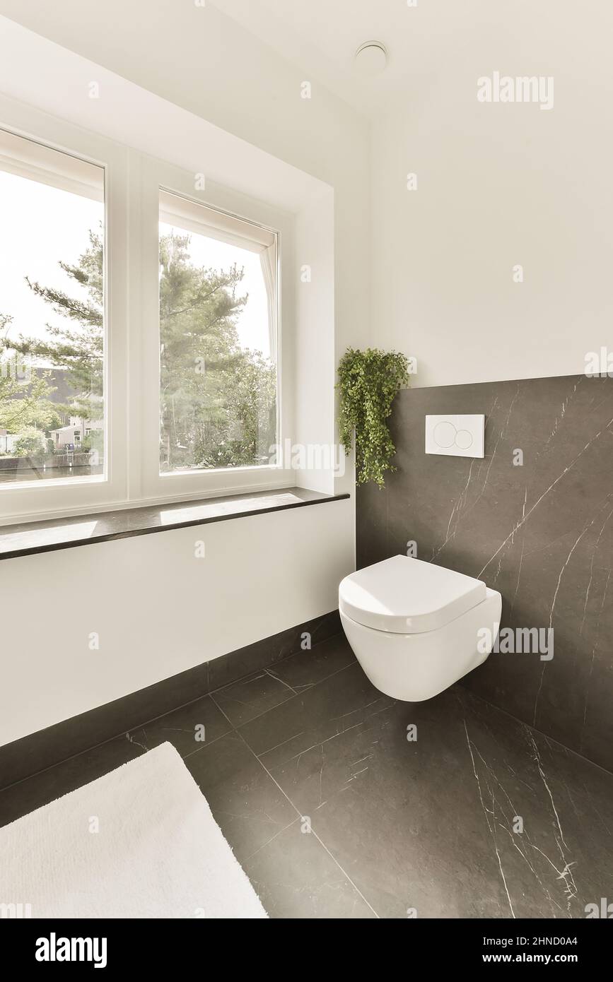 Interior design of modern restroom with white toilet bowl hanging on ...