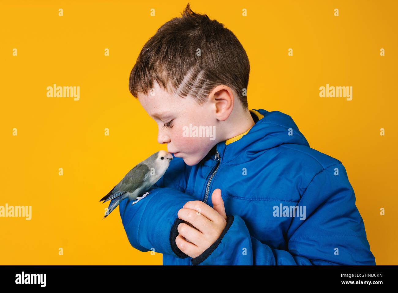 Adorable kid in blue raincoat caressing and kissing loyal lovebird ...