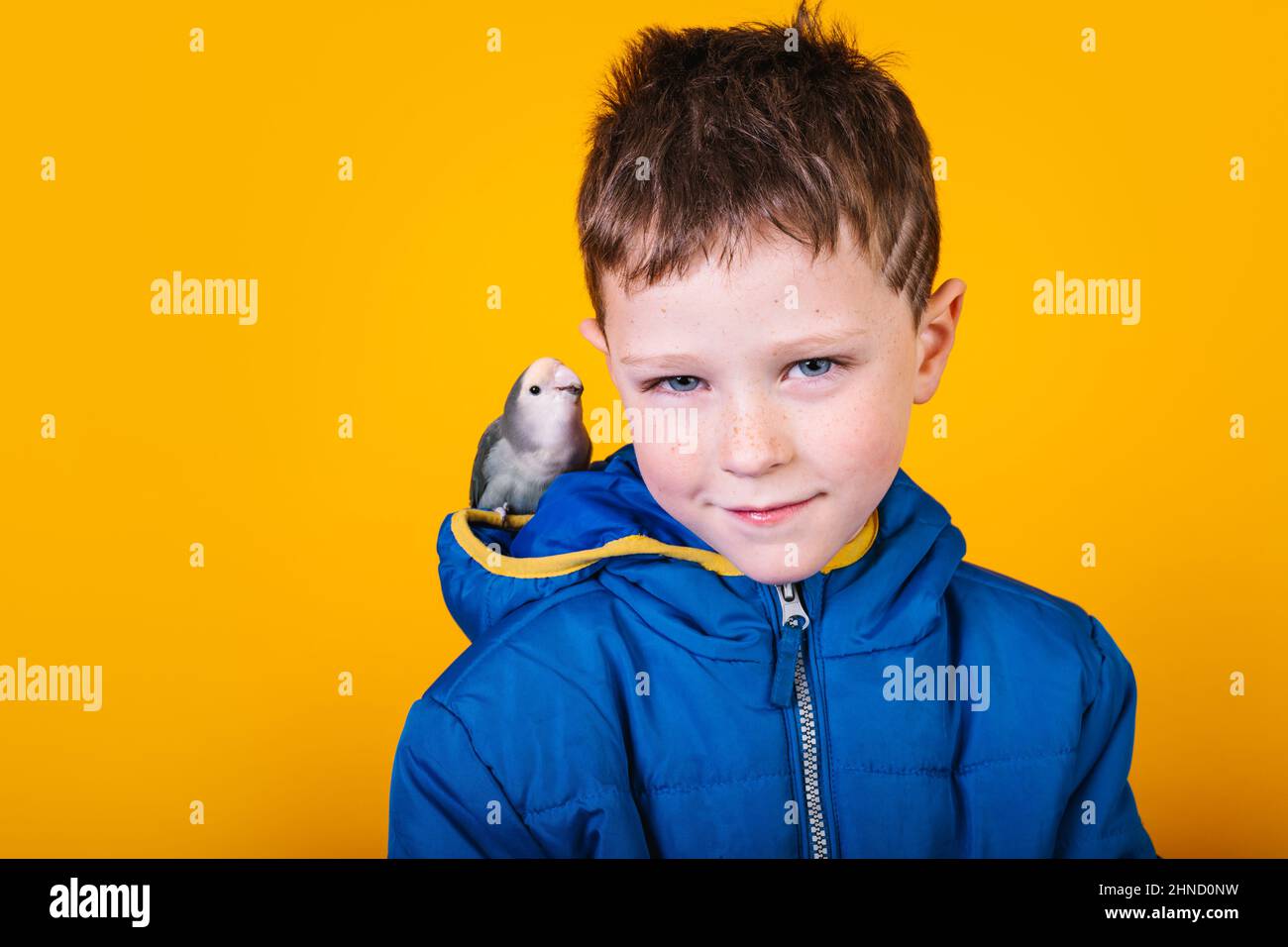 Adorable boy with short hair with bird on hood of blue raincoat while ...