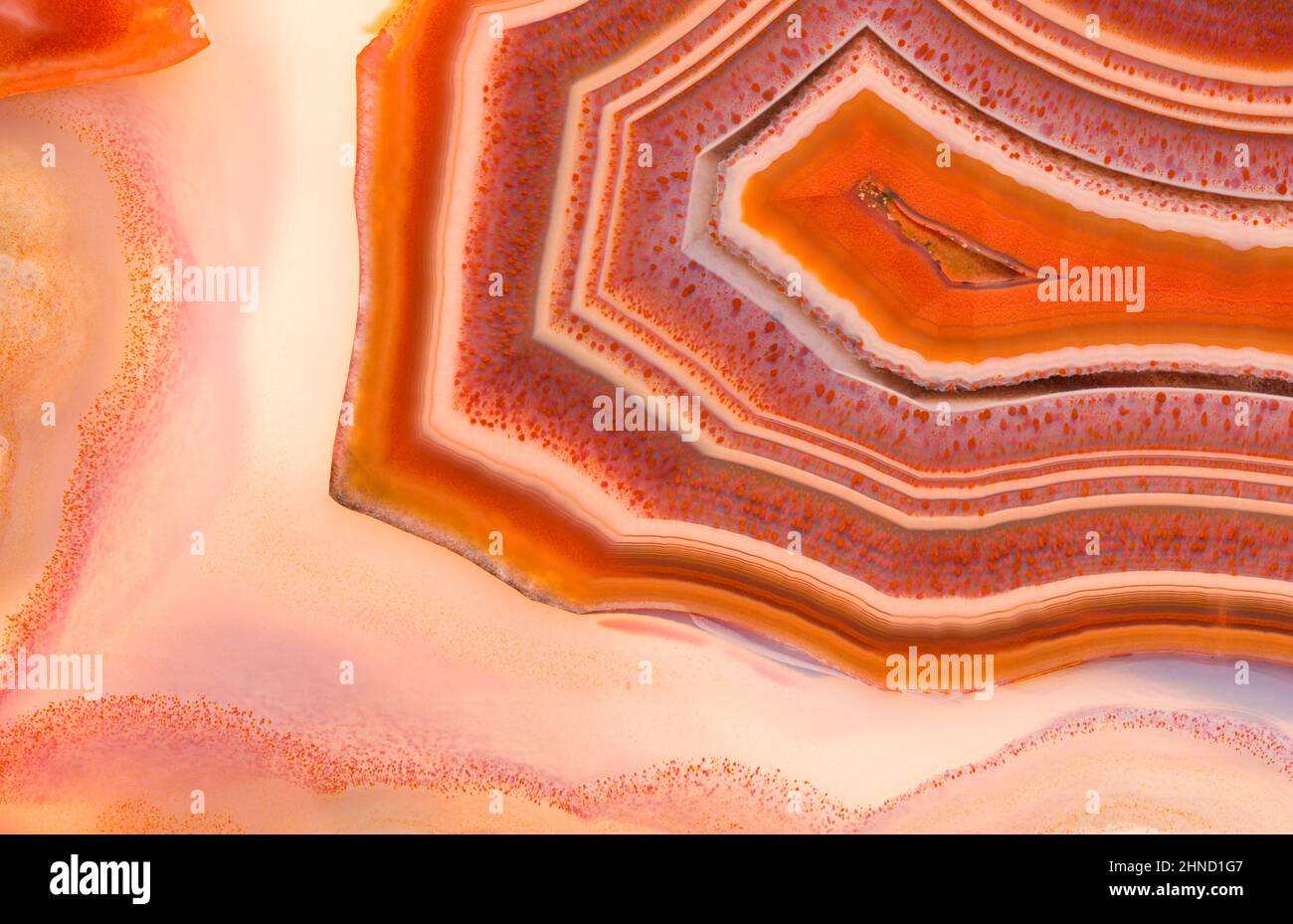 Banding patterns and structure in a sliced and polished laguna agate ...