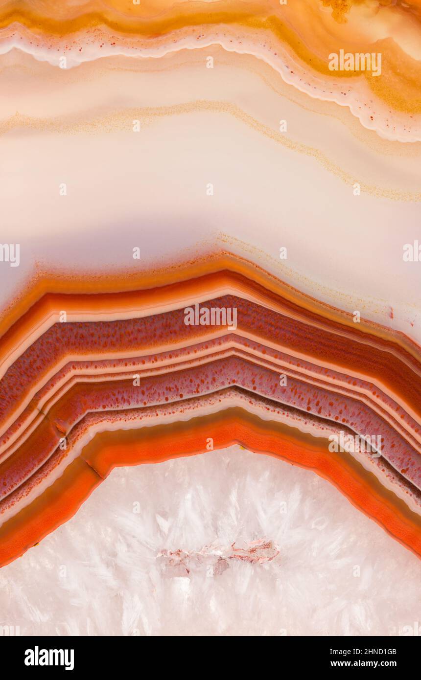 Banding patterns and structure in a sliced and polished laguna agate ...