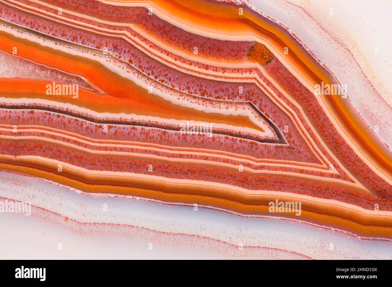 Banding patterns and structural detail in a sliced and polished laguna ...